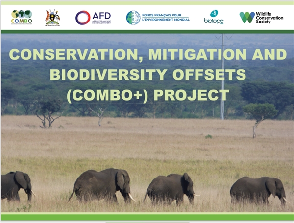 Uganda Finds Middle Ground for Economic Development and Biodiversity ...